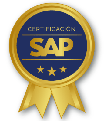 Máster SAP Full Stack Developer - Logali Group